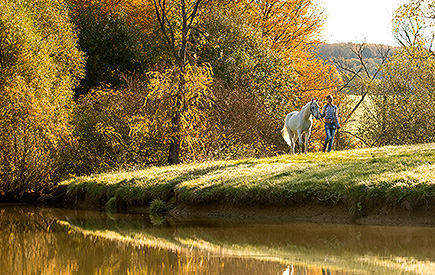 Things to do in Spring & Summer in the Poconos